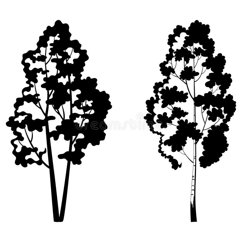 Bomen, Berk En Symbolisch Silhouet Vector Illustratie - Illustration of ...