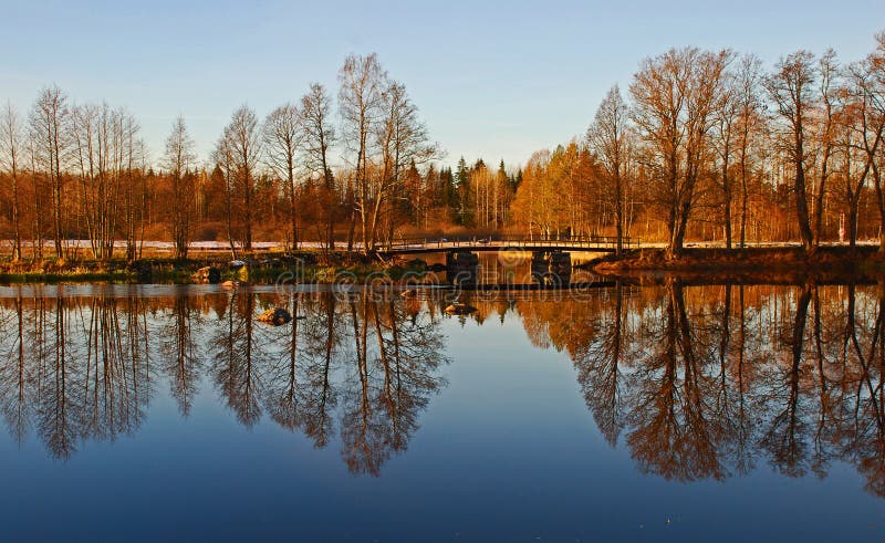 Bomen En Bezinning in Water Stock Foto - Image of horizontaal ...