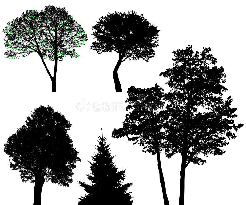 Bomen - vectorreeks vector illustratie. Illustration of tekening - 9333093