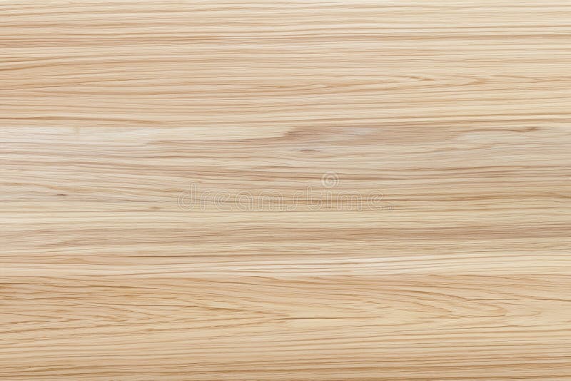 Light American Oak Wood Texture, Medium Grain - 03 Stock Image - Image of natural, pine: 305664329