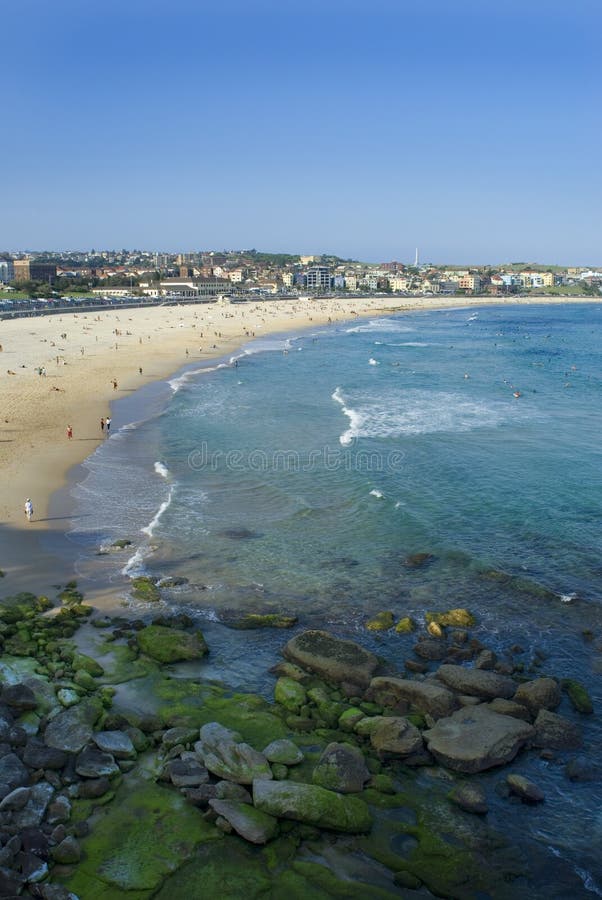 Bondi Beach Panorama editorial photography. Image of sydney - 19662712