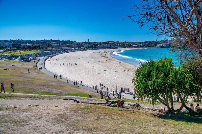 Bondi Beach Panoramic Skyline in Sydney Editorial Image - Image of ...