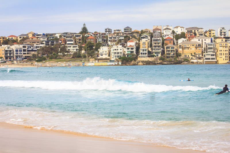 Sun Tanning Bondi Beach Stock Photos - Free & Royalty-Free Stock Photos ...