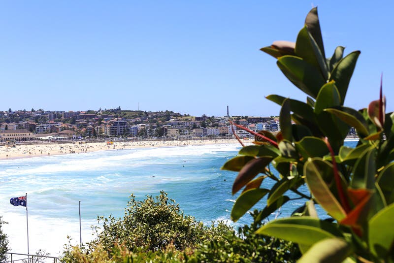 Bondi beach editorial image. Image of travel, surf, seaside - 90819645