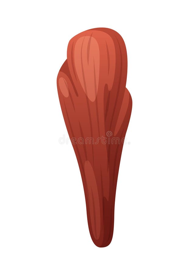 Bone Bat Prehistoric Composition Stock Vector - Illustration of wood ...