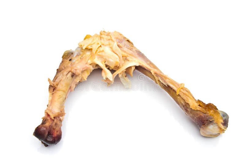 Bone of the chicken stock image. Image of chicken, vapid - 28885779