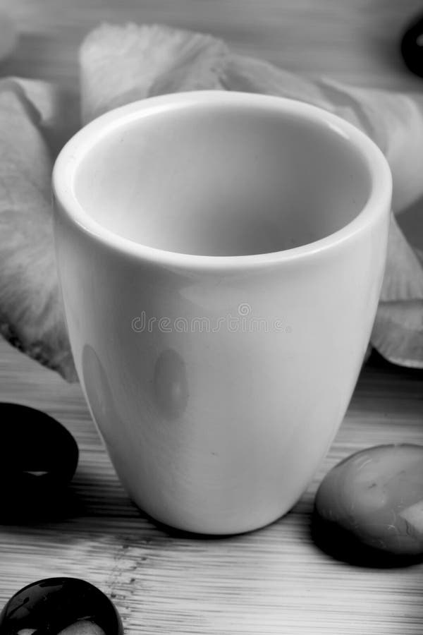Bone-china cup stock photo. Image of life, empty, beautiful - 107612916