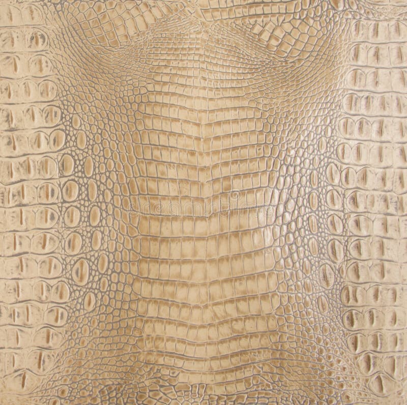 658 Gator Texture Stock Photos - Free & Royalty-Free Stock Photos from ...