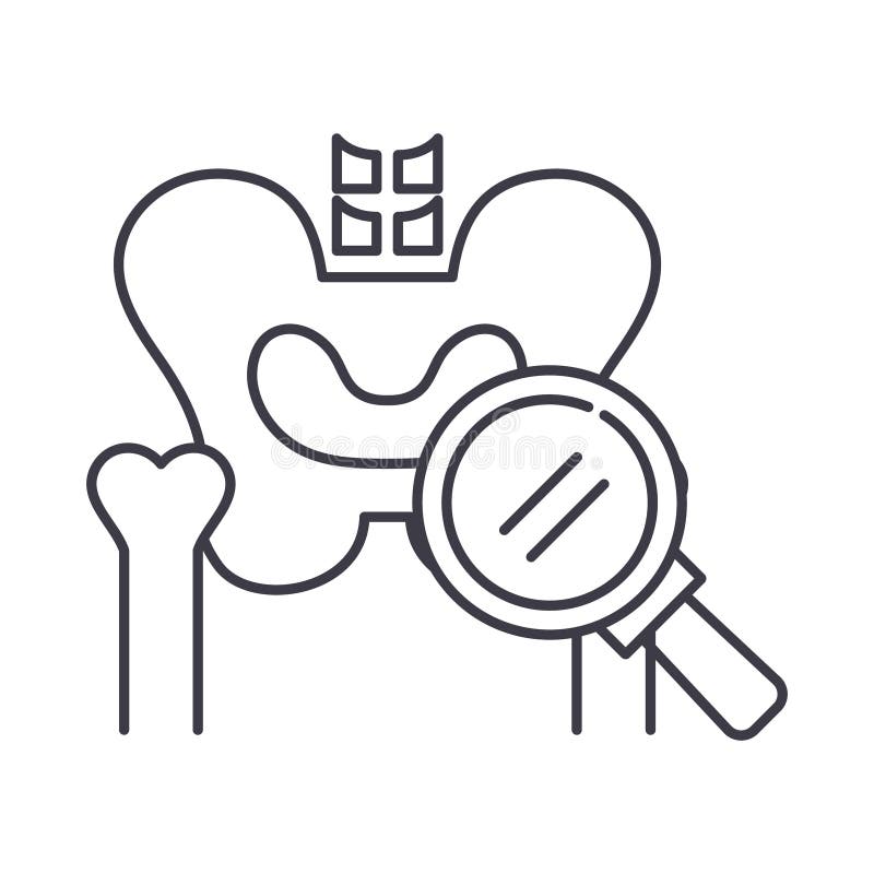 Bone Densitometry Icon, Linear Isolated Illustration, Thin Line Vector ...