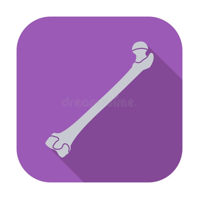 Bone flat icon. stock vector. Illustration of grey, painting - 97931710