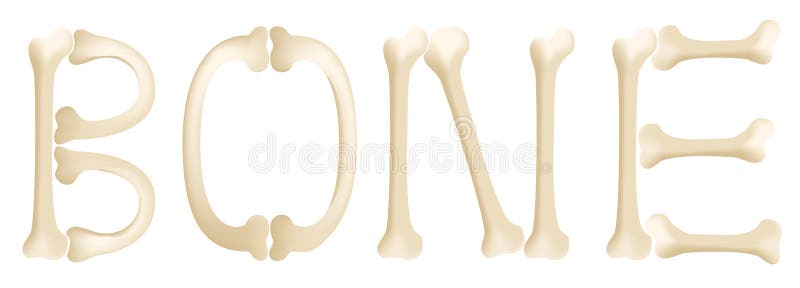 Bone Structure Anatomy for Science and Education . Illustration Stock ...
