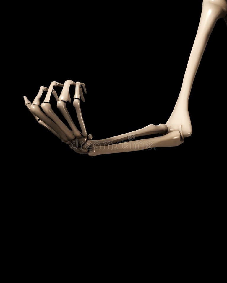 Bones Arm Hand Stock Illustrations – 2,462 Bones Arm Hand Stock ...