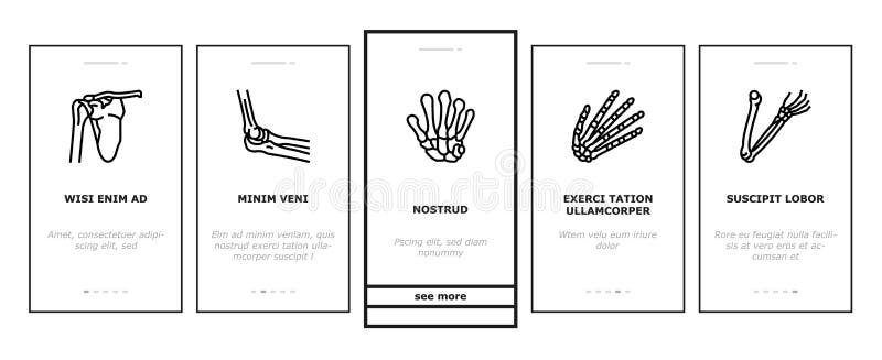 Bone Human Skeleton Structure Onboarding Icons Set Vector Stock ...