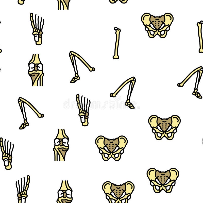 Bone Human Skeleton Structure Vector Seamless Pattern Stock
