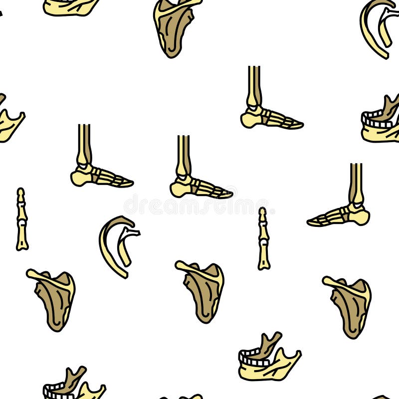 Bone Human Skeleton Structure Vector Seamless Pattern Stock Vector