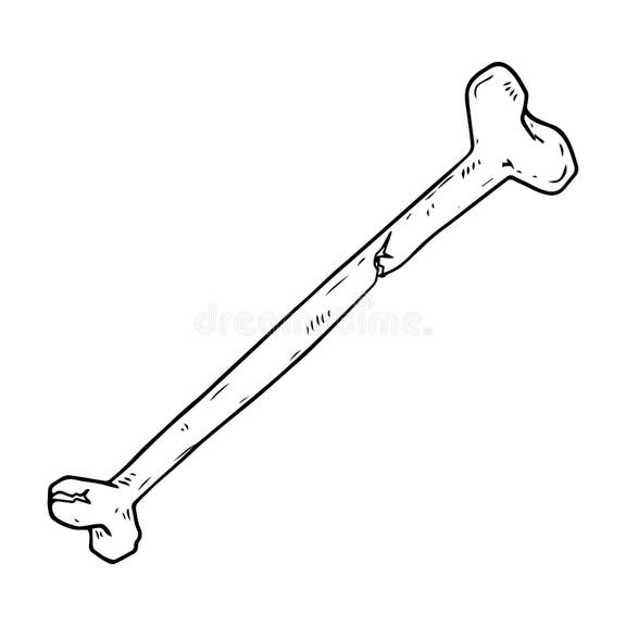 Bone Icon. Vector Illustration of a Bone. Hand Drawn Human Bones Stock ...