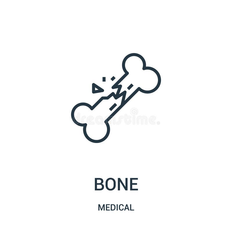 Bone Icon Vector from Medical Collection. Thin Line Bone Outline Icon ...