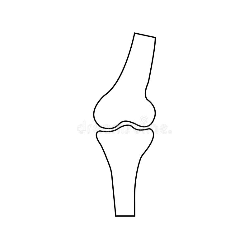 Bone joints icon stock vector. Illustration of vector - 311640647