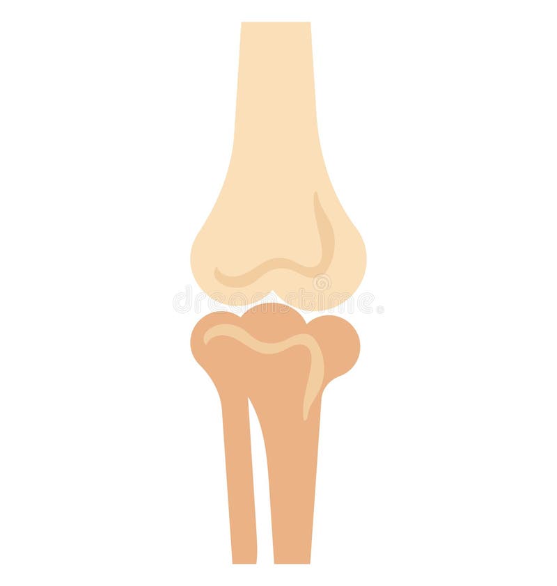 Bone joints of skeleton stock illustration. Illustration of extension ...