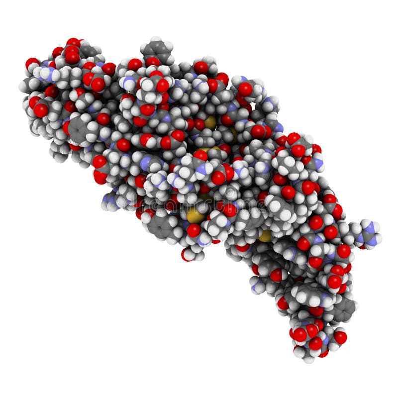 Bone Morphogenetic Protein 7 (BMP-7) Protein. Plays Important Role in ...