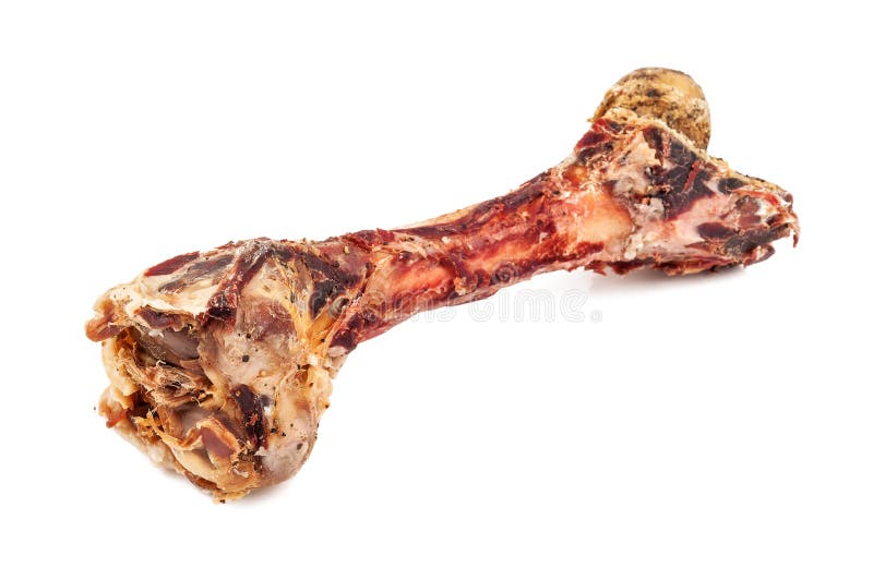 Bone with no meat stock photo. Image of aged, joint, animal - 84675836