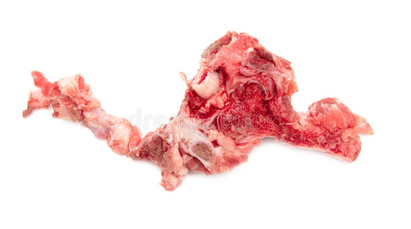 Bone with Red Meat on a White Background. Stock Photo - Image of beef ...