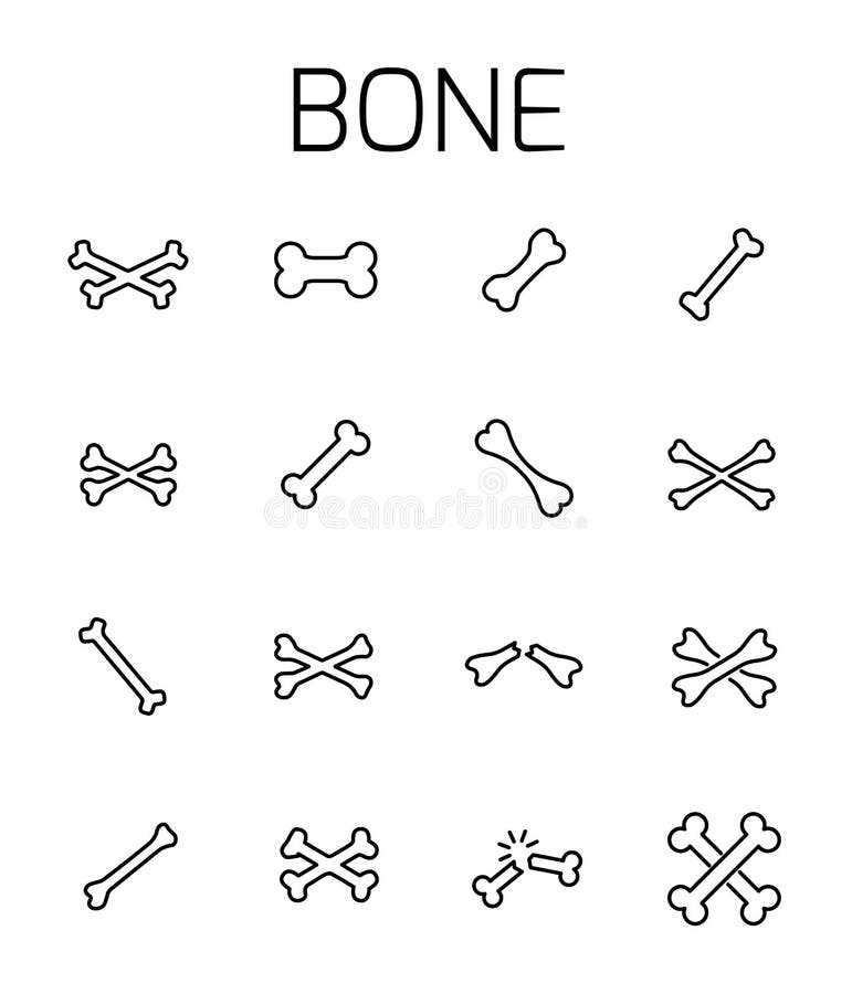 Bone Related Vector Icon Set Stock Vector - Illustration of food ...