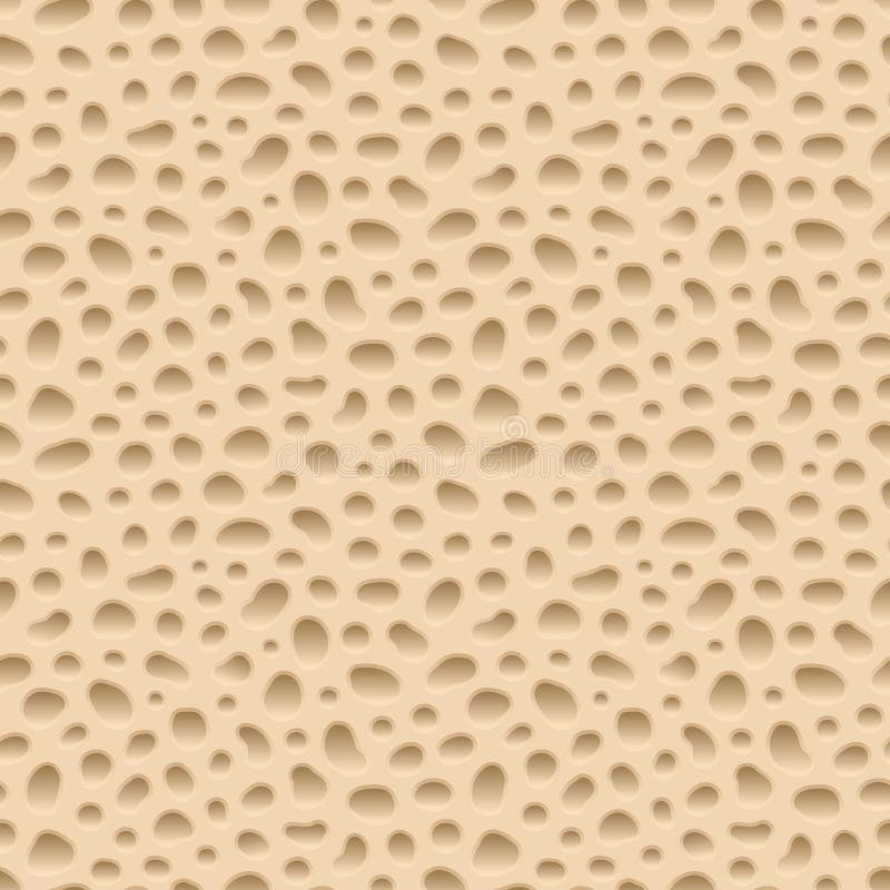 Bone Spongy Structure, Bone Structure Vector Seamless Pattern Stock ... Bone Spongy Structure, Bone Structure Vector Seamless Pattern Stock ...