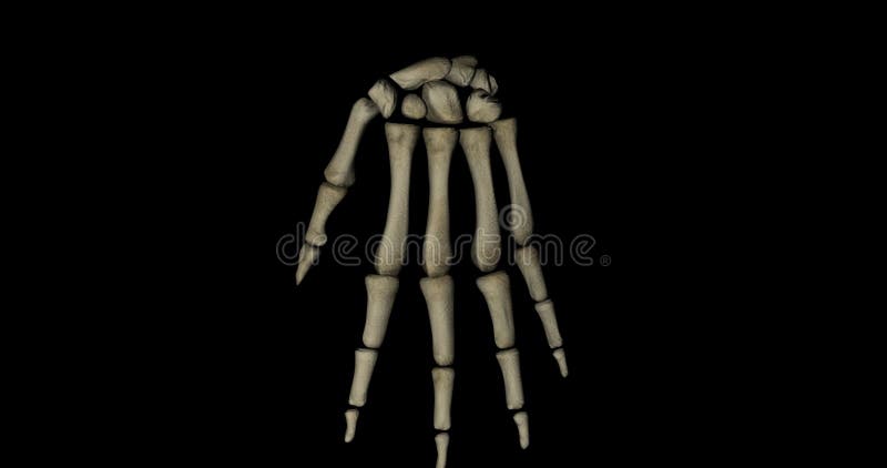 Skeleton Hand Hand Crawling Out of the Ground with Alpha Channel Stock ...