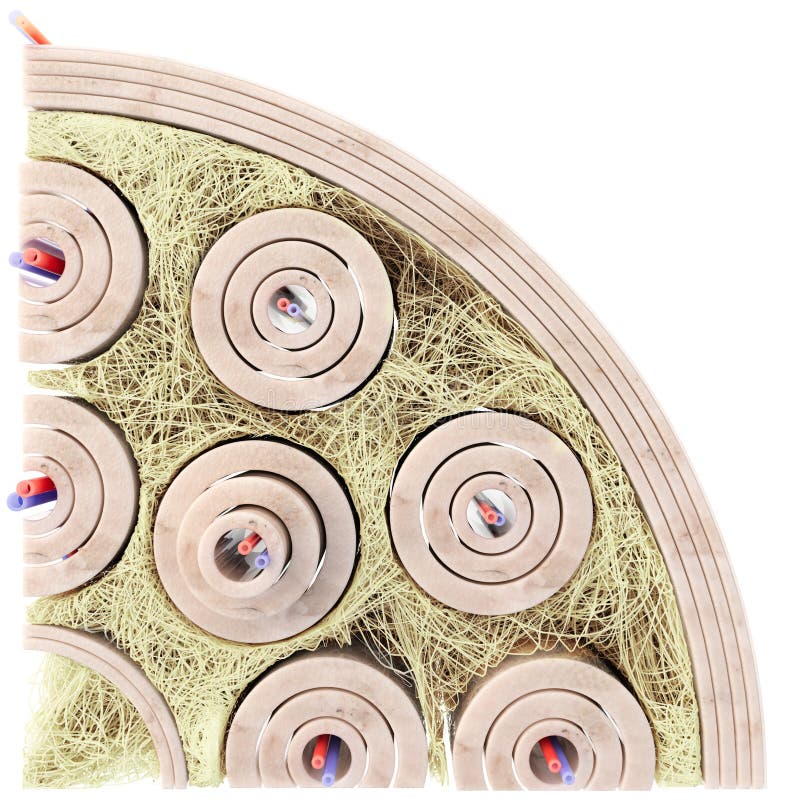 Bone Tissue Closeup through a Cross Section of a Bone - 3D Rendering ...