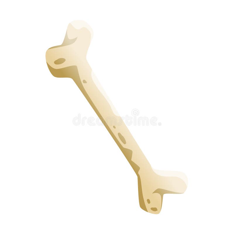 Bone Vector Illustration stock vector. Illustration of icon - 206255684