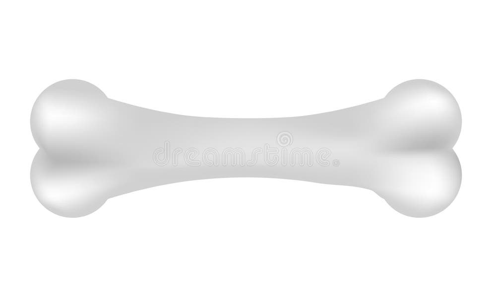 Bone stock vector. Illustration of feed, dinner, isolated - 31563949