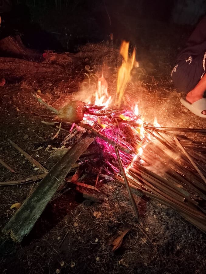 Bonefire at the campground stock image. Image of sparkler - 288018497