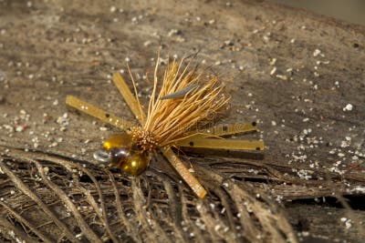 Bonefish Bitter Permit Fly - Fly Fishing Stock Photo - Image of sinker ...