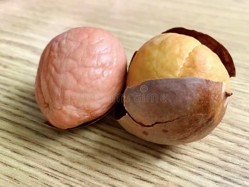 Avocado pit on the table. stock photo. Image of fruit - 135175382