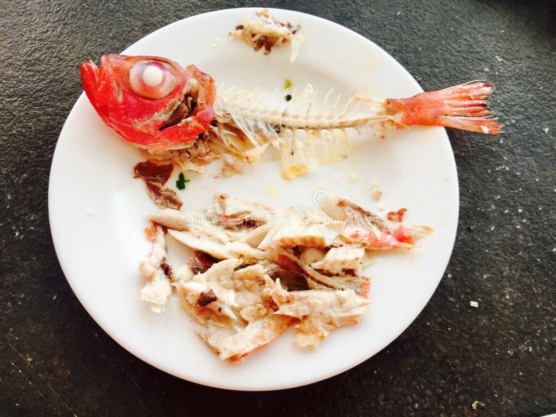 Boneless Fish on White Plate Stock Image - Image of lunch, seafood ...