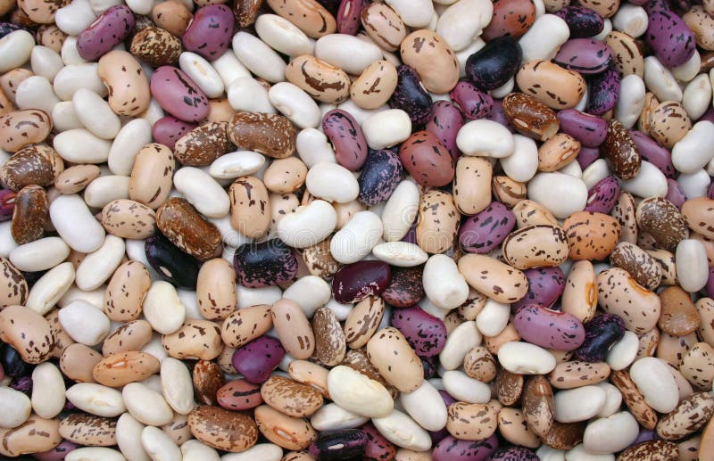 Bonen stock afbeelding. Image of voedsel, hoop, naughty - 11987931