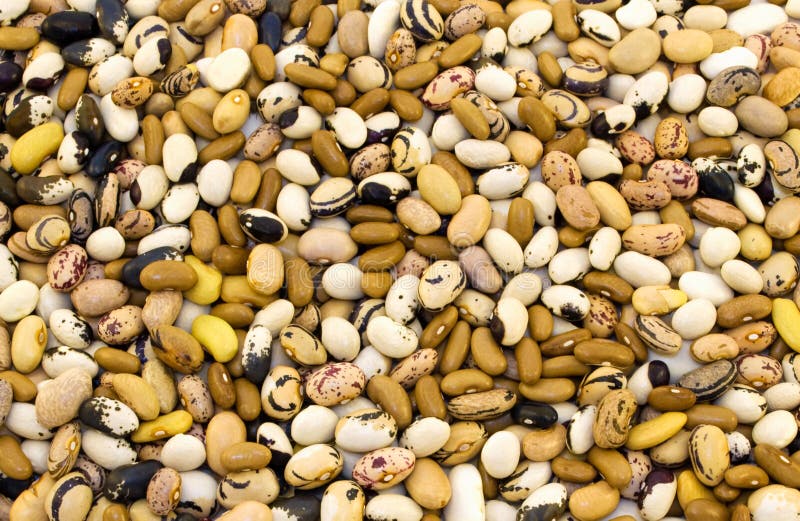 Bonen stock foto. Image of plantaardig, gemengd, eten - 12968334