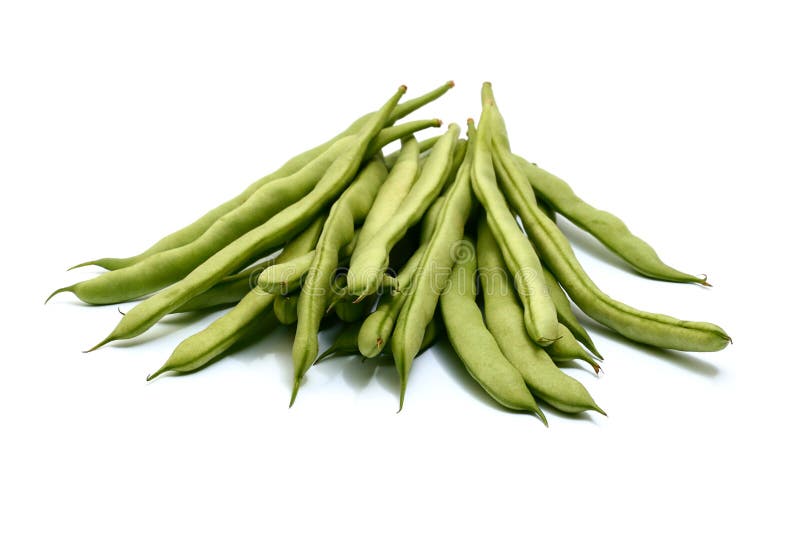 Bonen stock foto. Image of voedzaam, groen, vers, groenten - 2898896