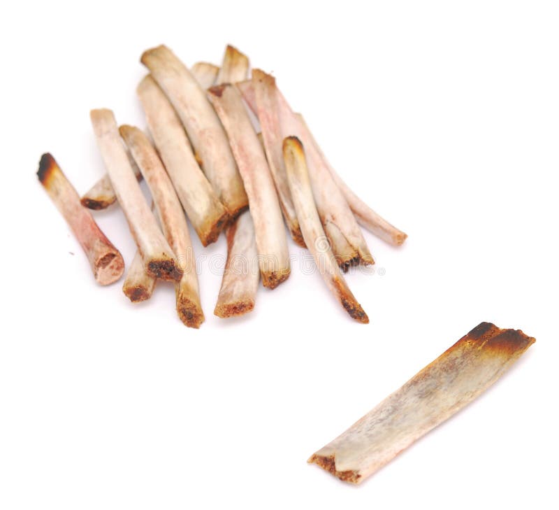 Meat and Bones of Fresh Herring for a Delicious Dish, Carve Fish Stock ...