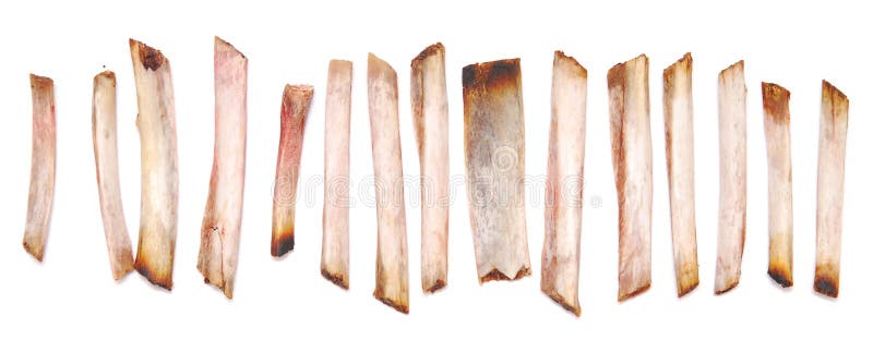 Meat and Bones of Fresh Herring for a Delicious Dish, Carve Fish Stock ...