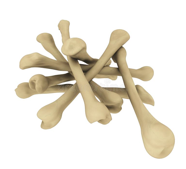 Stack Human Bones Stock Illustrations – 12 Stack Human Bones Stock ...