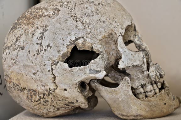Ancient Human Skull. Bones of an Ancient Roman Skull Stock Photo ...