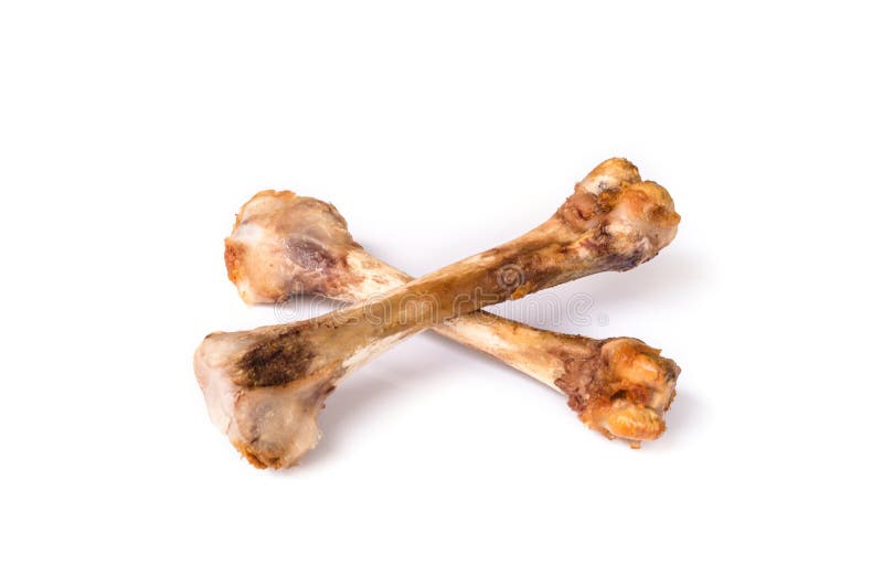 Bones of chicken. stock photo. Image of bone, wing, meat - 70822288