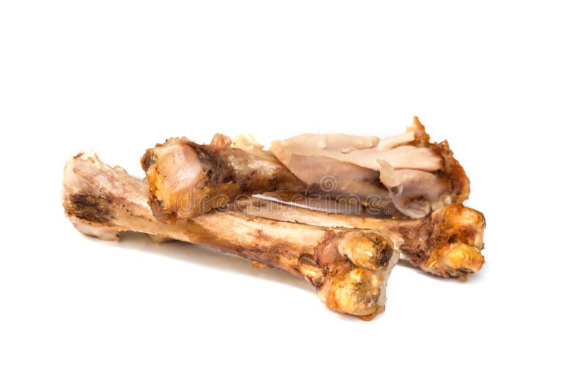 Bones of chicken. stock photo. Image of copy, bird, cuisine - 70822480
