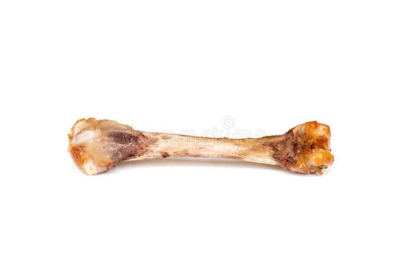 Bones of chicken. stock photo. Image of eaten, meal, fresh - 70822882