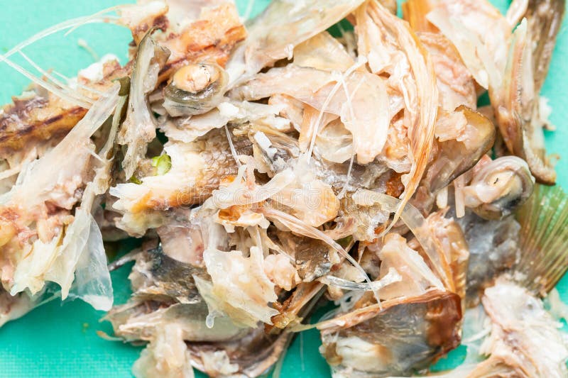 Bones and Fish Heads on Green Plastic Board Stock Image - Image of ...