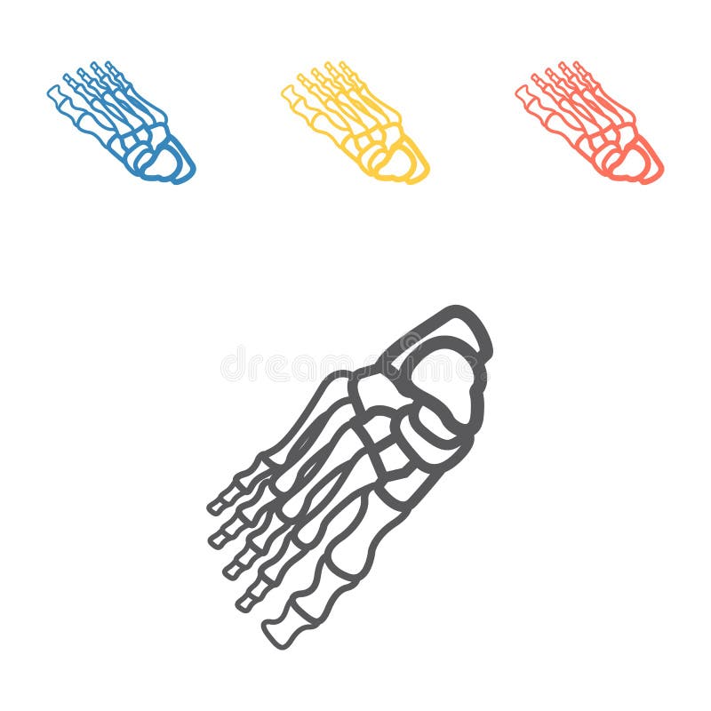 Bones of Foot. Skeleton Part. Vector Signs for Web Graphics. Stock ...