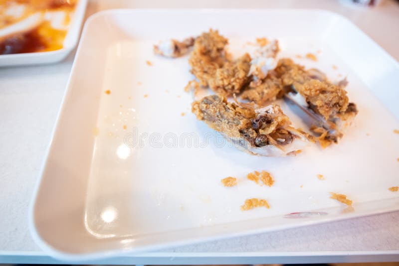 Bones of Fried Chicken and Some Scrap on White Dish after Eating ...