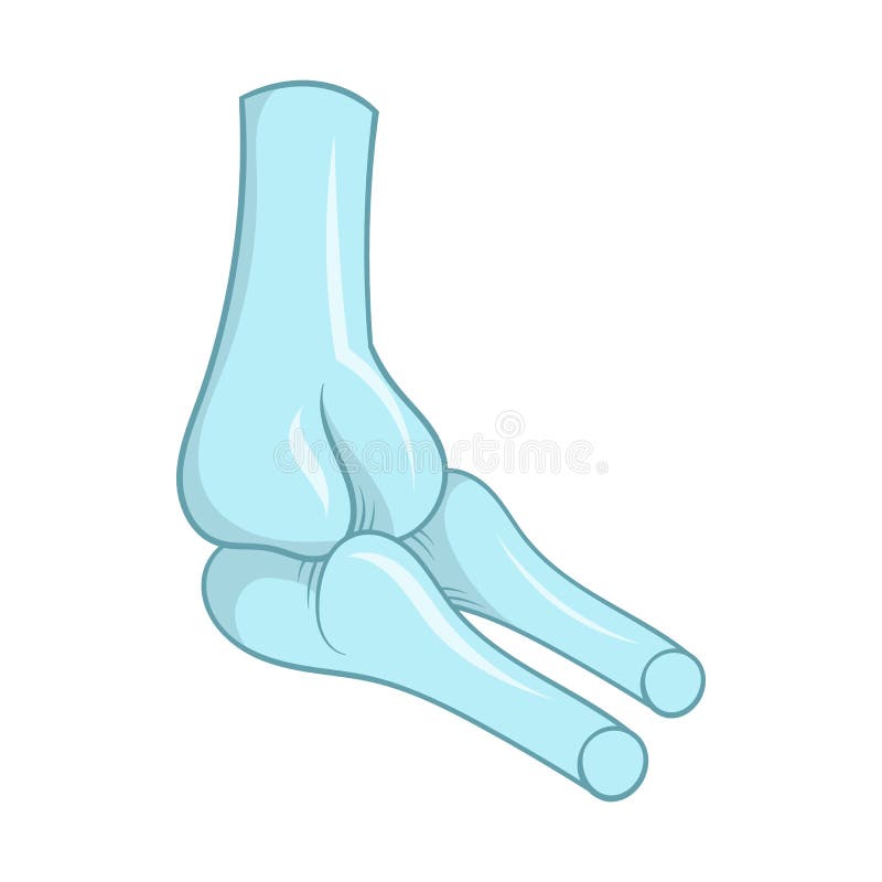 Foot Bones Icon, Cartoon Style Stock Vector - Illustration of bone ...